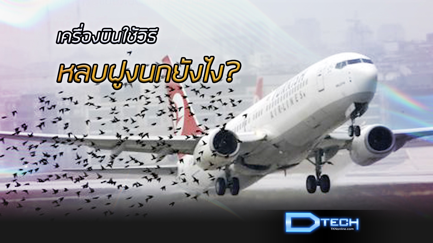 D-Tech- วิธีไล่นกของสายการบินต่างประเทศ - TKNonline