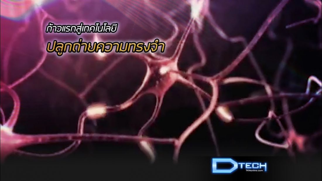 D-Tech- ก้าวแรกสู่เทคโนโลยีการปลูกถ่ายความทรงจำ - TKNonline